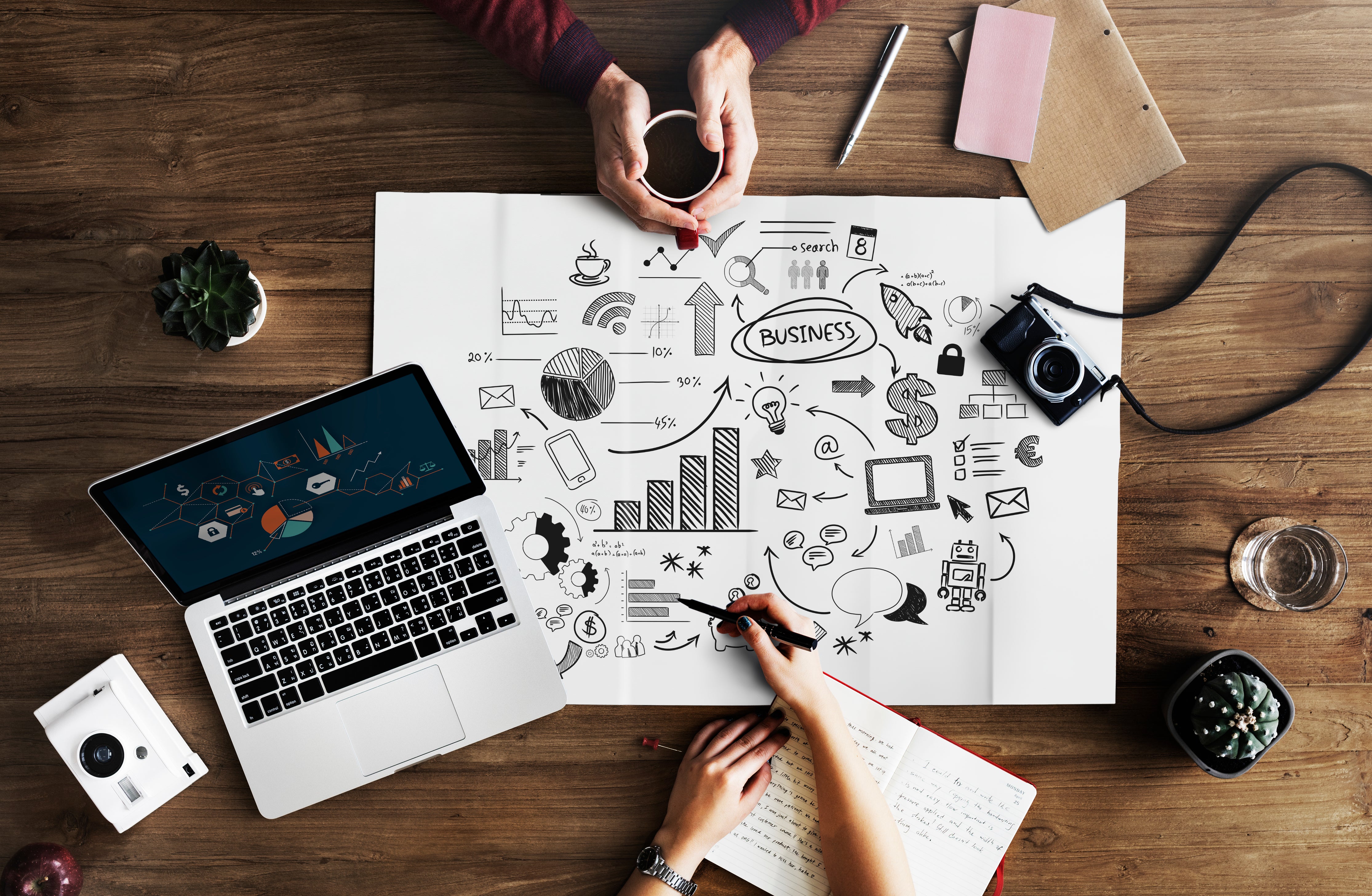 Kitkat Software Technologies | Smart Software & Digital Solutions in ...